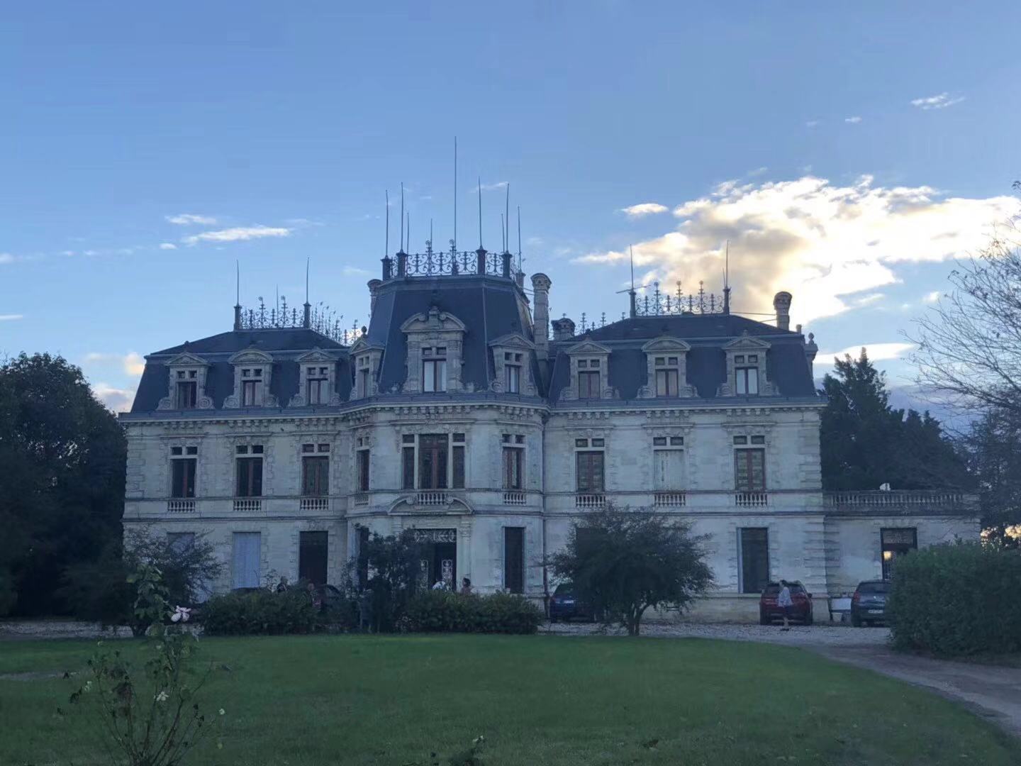 Le vignoble - Château Tayac Côtes de Bourg
